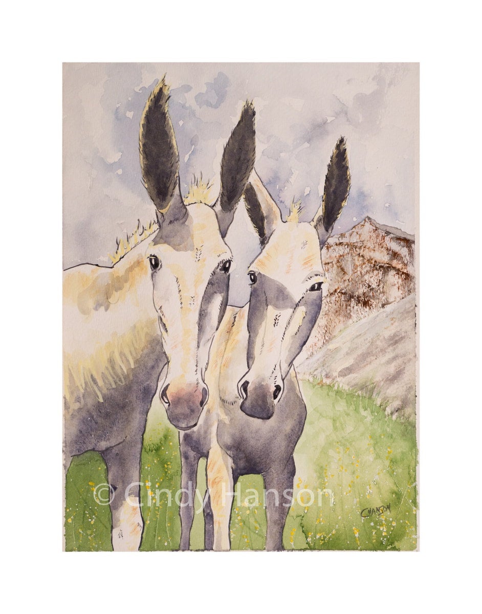 White Donkeys in Mountains | Cindy Hanson Fine Arts Gallery Industrial ...